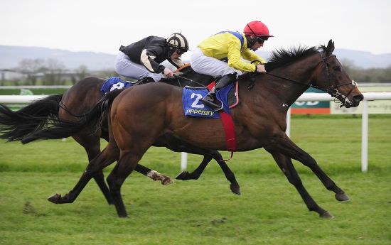 Tipperary Bluesbreaker Rory Cleary Near Beats Editorial Stock Photo ...