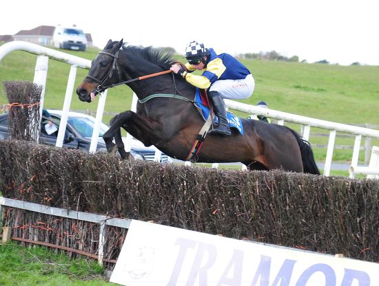Tramore Hurricane Ben Jamie Codd Win Editorial Stock Photo - Stock ...