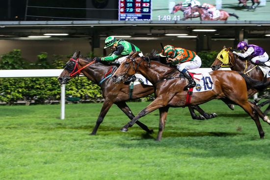 Super Silks Far Side D Whyte Editorial Stock Photo - Stock Image ...