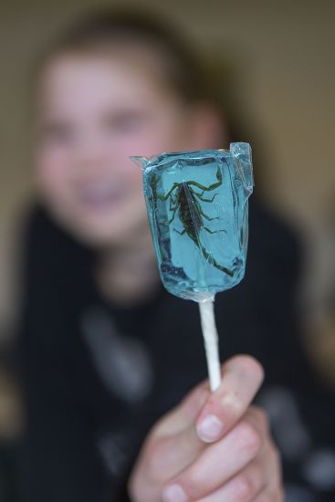 Lollipop Containing Edible Insect Editorial Stock Photo - Stock Image ...