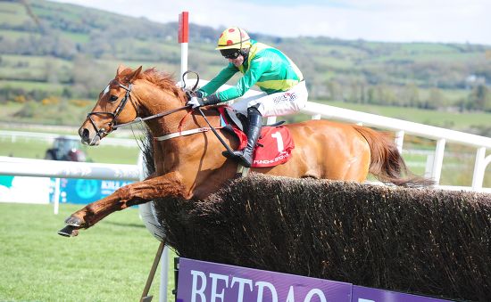 Punchestown Shin Vee Johnny Barry Jump Editorial Stock Photo - Stock ...