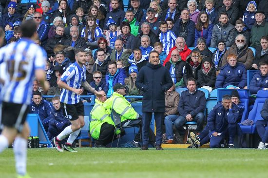 Sheffield Wednesday Head Coach Carlos Carvalhal Editorial Stock Photo ...