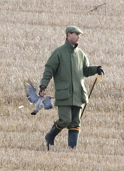 Prince Edward Pigeon Editorial Stock Photo - Stock Image | Shutterstock