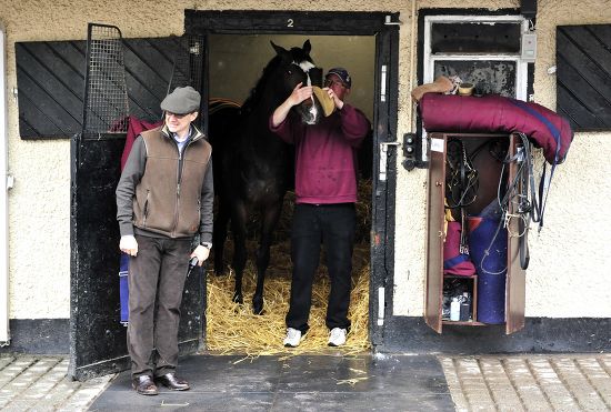 Ballydoyle Stables Trainer Aidan Obrien Stable Editorial Stock Photo ...