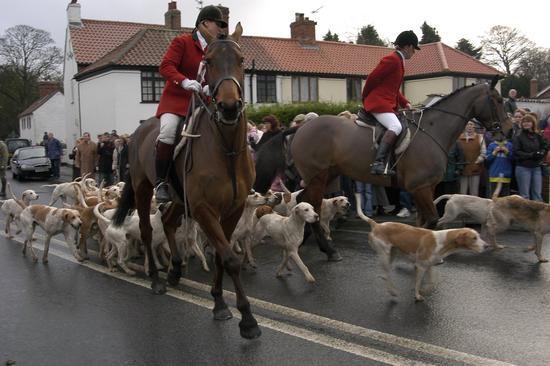 Members Grove Rufford Hunt Editorial Stock Photo - Stock Image ...