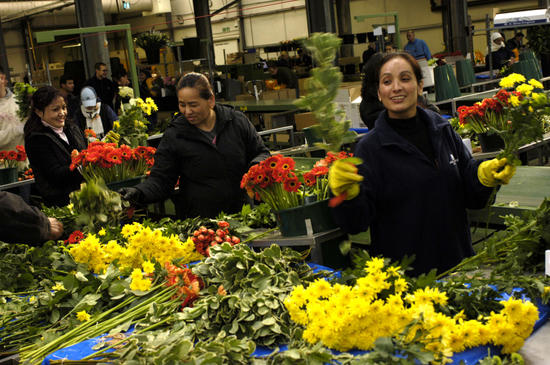 Warehouse Staff On Packing Floor World Editorial Stock Photo - Stock ...