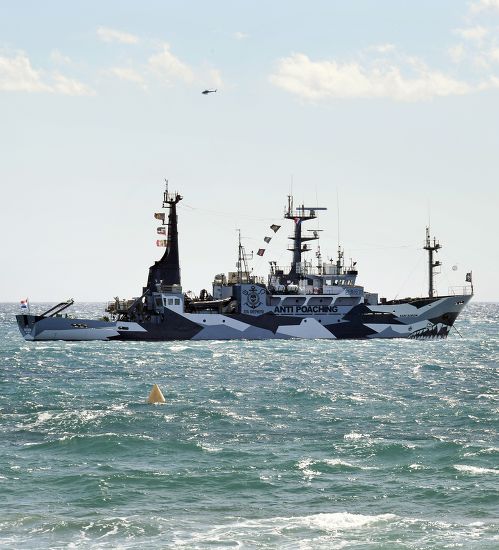 Sam Simon Ship Anti Poaching Association Editorial Stock Photo - Stock ...