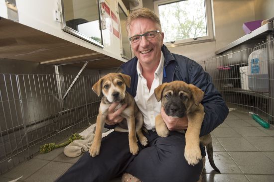 Jeremy Cooper New Chief Exec Rspca Editorial Stock Photo - Stock Image ...