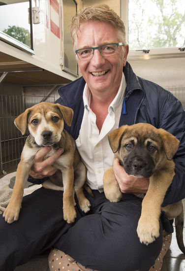 Jeremy Cooper New Chief Exec Rspca Editorial Stock Photo - Stock Image ...