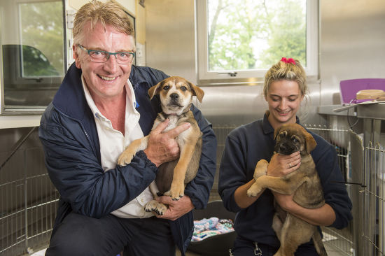 Jeremy Cooper New Chief Exec Rspca Editorial Stock Photo - Stock Image ...