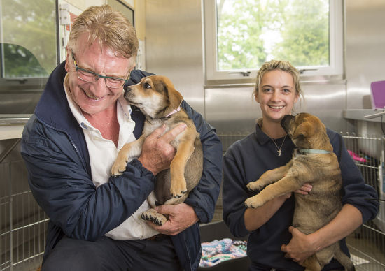 Jeremy Cooper New Chief Exec Rspca Editorial Stock Photo - Stock Image ...