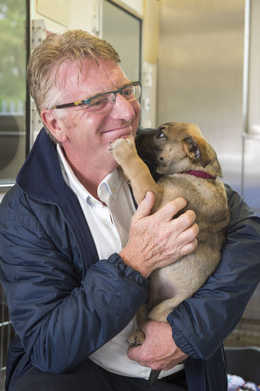 Jeremy Cooper New Chief Exec Rspca Editorial Stock Photo - Stock Image ...