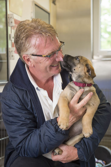 Jeremy Cooper New Chief Exec Rspca Editorial Stock Photo - Stock Image ...