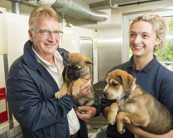 Jeremy Cooper New Chief Exec Rspca Editorial Stock Photo - Stock Image ...