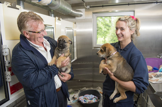 Jeremy Cooper New Chief Exec Rspca Editorial Stock Photo - Stock Image ...