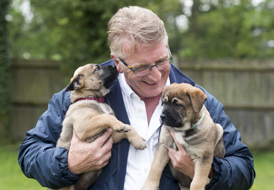 Jeremy Cooper New Chief Exec Rspca Editorial Stock Photo - Stock Image ...