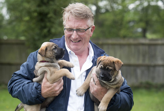 Jeremy Cooper New Chief Exec Rspca Editorial Stock Photo - Stock Image ...