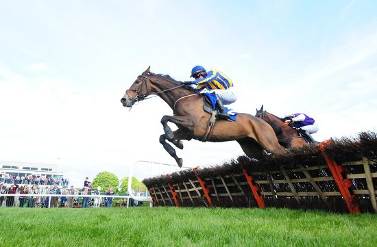 Killarney Consharon Boy David Splaine Beats Editorial Stock Photo ...