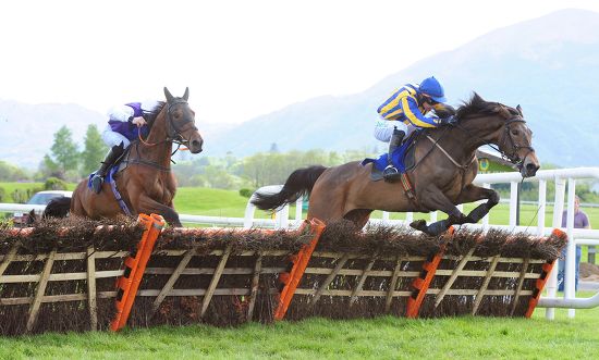 Killarney Consharon Boy David Splaine Right Editorial Stock Photo ...