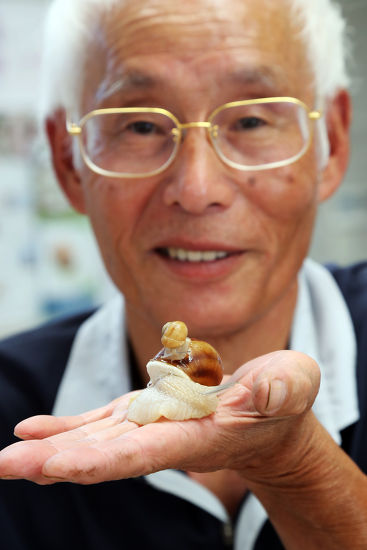 Toshihide Takases Escargot Farm Editorial Stock Photo - Stock Image ...
