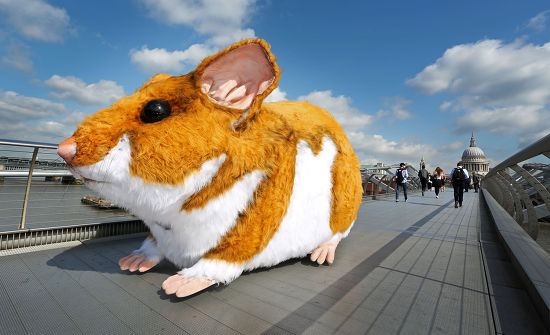12ft Pedalpowered Mechanical Model Hamster Unveiled Editorial Stock ...