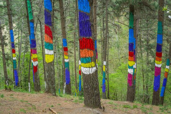 Painted Tree Trunks Painted Wood El Editorial Stock Photo - Stock Image ...
