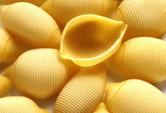 Shell Noodles Eggbased Pasta Editorial Stock Photo - Stock Image ...