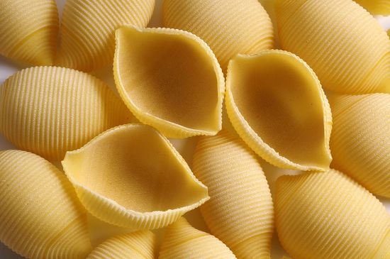 Shell Noodles Eggbased Pasta Editorial Stock Photo - Stock Image ...