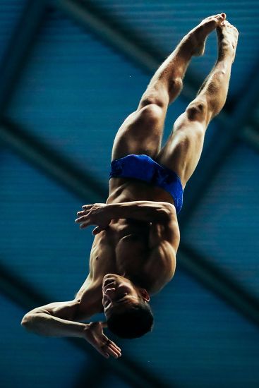 Ross Haslam City Sheffield Diving Club Editorial Stock Photo - Stock ...