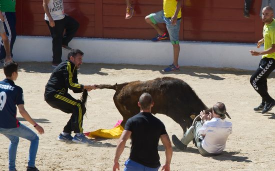 Bullrunning Editorial Stock Photo - Stock Image | Shutterstock