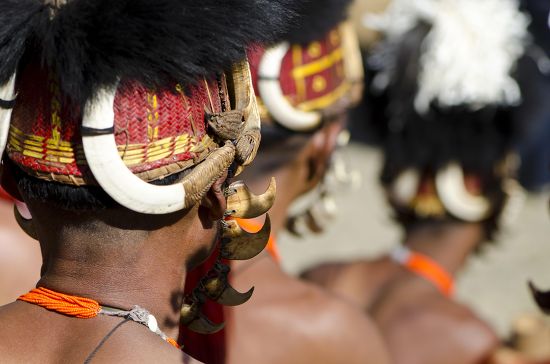 Details Dresses Khiamniungan Tribe Hornbill Festival Editorial Stock ...