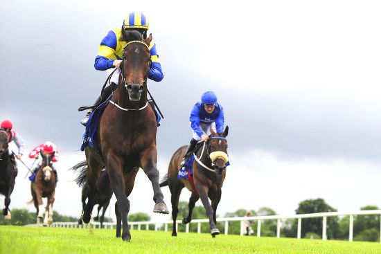 Fairyhouse Time Reason Denis Lenihan Win Editorial Stock Photo - Stock ...