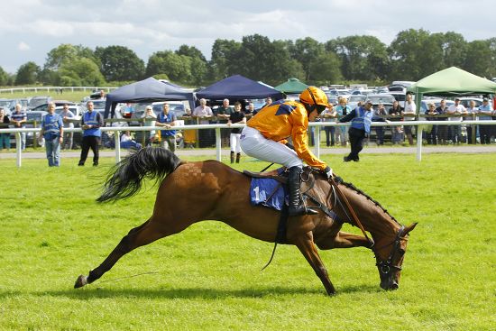 Sharp Rise Graham Watters Overjump Pitch Editorial Stock Photo - Stock ...