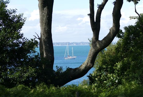 Yacht Through Trees Studland Dorset Editorial Stock Photo - Stock Image ...