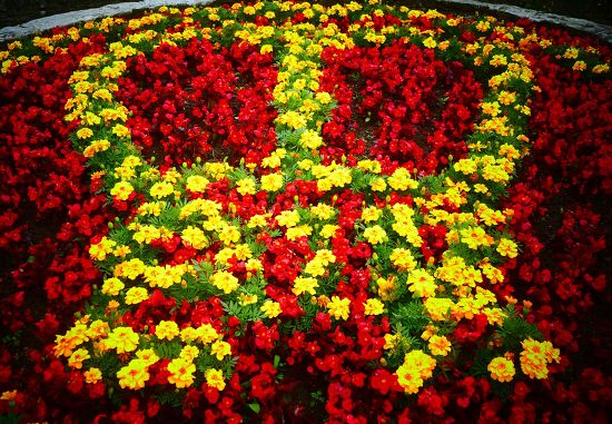 Commemorative Flower Beds Queens 90th Birthday Editorial Stock Photo - Stock Image | Shutterstock