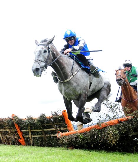 Killarney Kings Wharf Ruby Walsh Jump Editorial Stock Photo - Stock ...