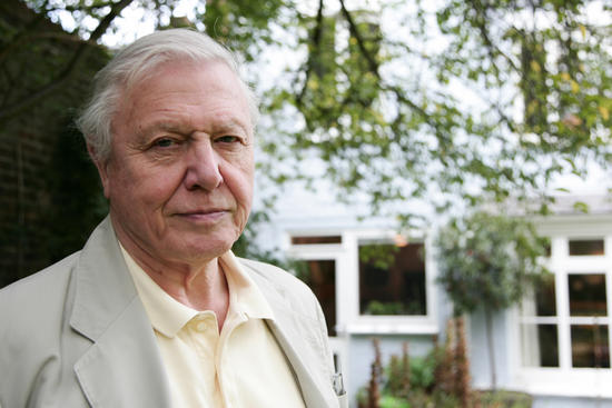 Sir David Attenborough Home Richmond Editorial Stock Photo - Stock ...
