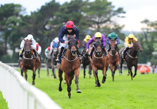 Galway Intrepid Prince Leigh Roche Easily Editorial Stock Photo - Stock ...
