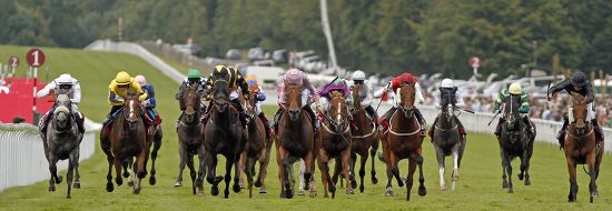 Illusive Pink Grey Marc Monaghan Wins Editorial Stock Photo - Stock ...