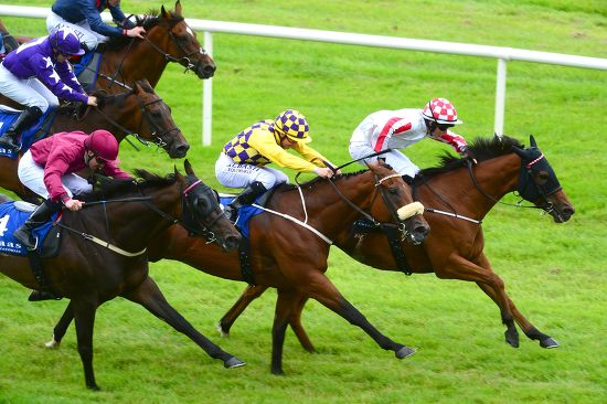 Naas Captain Power Robbie Downey Win Editorial Stock Photo - Stock ...