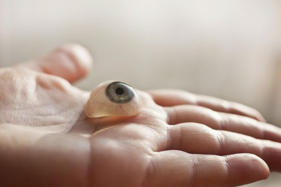 Prosthetic Eye On Hand Editorial Stock Photo - Stock Image | Shutterstock