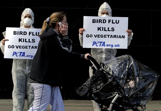 Protesters Signs Encouraging People Go Vegetarian Editorial Stock Photo ...