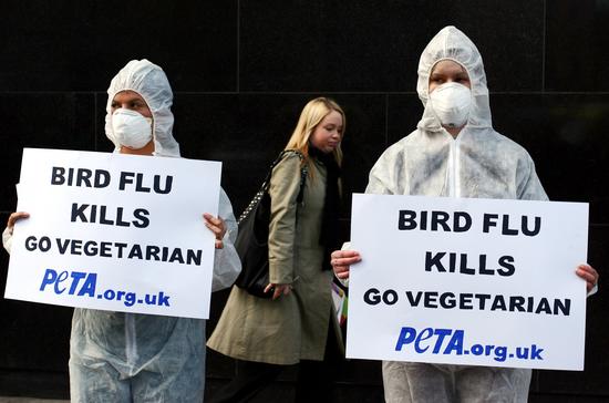 Protesters Signs Encouraging People Go Vegetarian Editorial Stock Photo ...