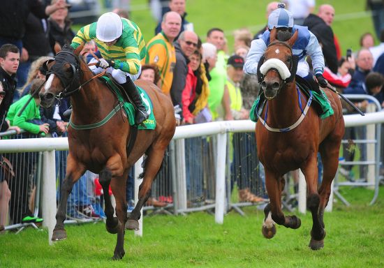 Dingle Man Steel Danny Sheehy Left Editorial Stock Photo - Stock Image ...