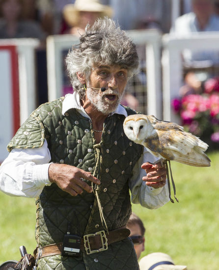 Ray Falconer Barn Owl During Display Editorial Stock Photo - Stock ...
