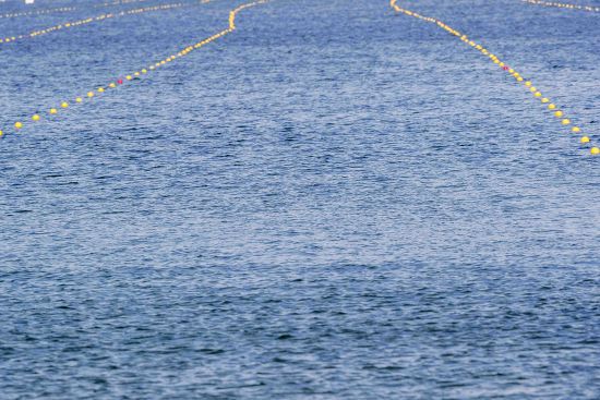 Choppy Water On Rowing Course Which Editorial Stock Photo - Stock Image ...