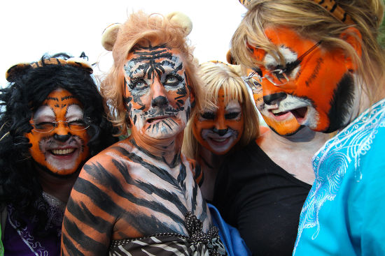 Streakers Zsl London Zoo Editorial Stock Photo - Stock Image | Shutterstock