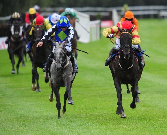 Killarney Kings Wharf Ruby Walsh Left Editorial Stock Photo - Stock ...