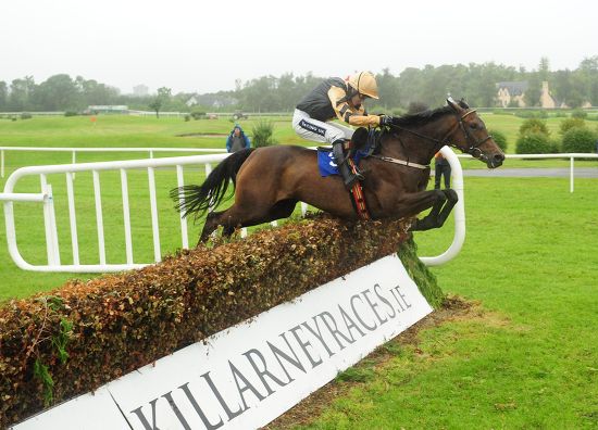 Killarney Briar Hill Ruby Walsh Jump Editorial Stock Photo - Stock ...