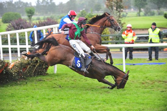 Killarney Sea Light Philip Enright Gallop Editorial Stock Photo - Stock ...